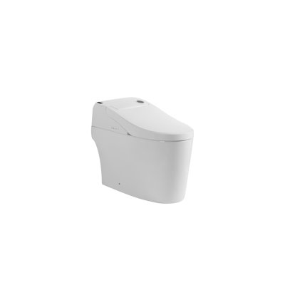 RunFine Group 1.28 GPF Elongated Floor Mounted Bidet Toilet (Seat Included) | Wayfair